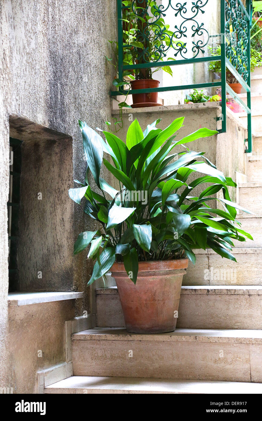 Steps italy hi-res stock photography and images - Alamy