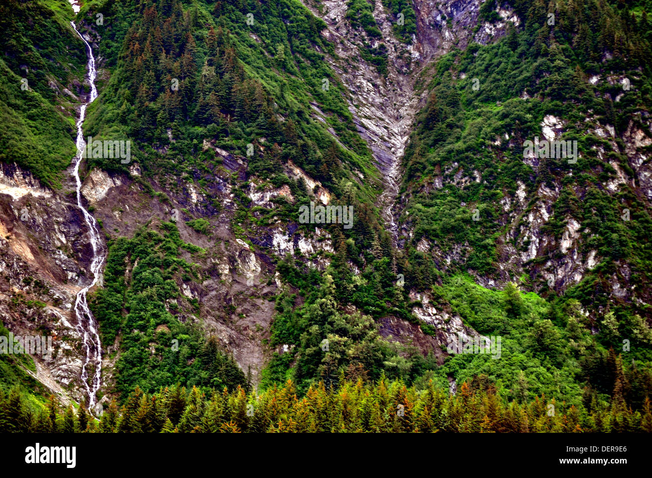 Juneau, Alaska - USA - Glaciers water and forests Stock Photo - Alamy
