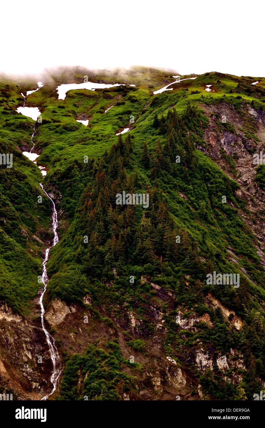 Juneau, Alaska - USA - Glaciers water and forests Stock Photo - Alamy