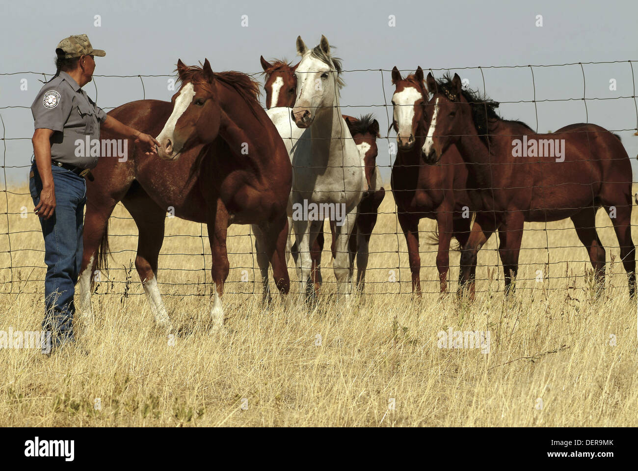 Ranger ralph hi-res stock photography and images - Alamy