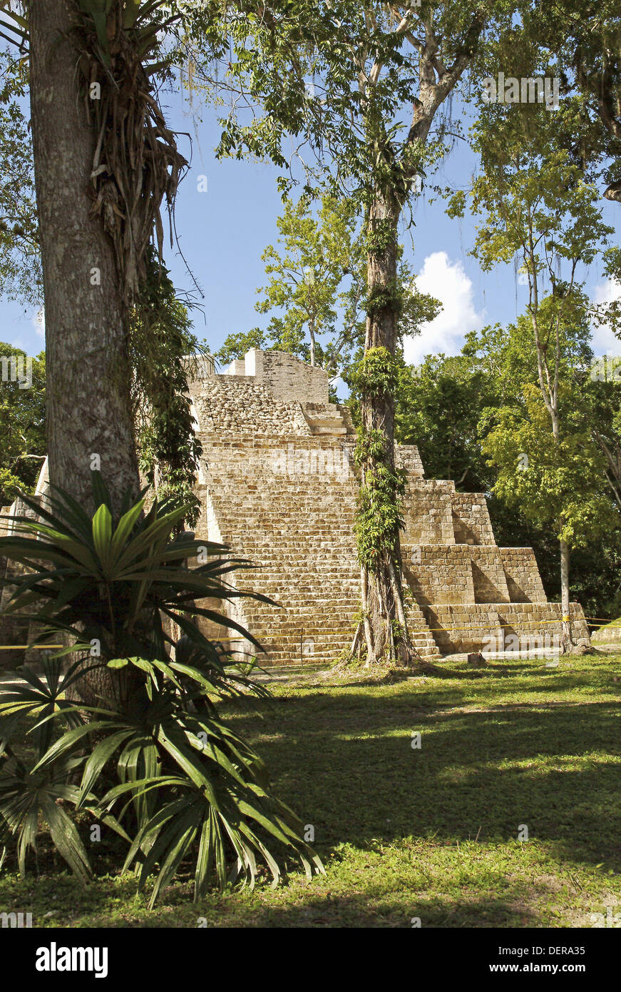 Yaxha temple hi-res stock photography and images - Alamy