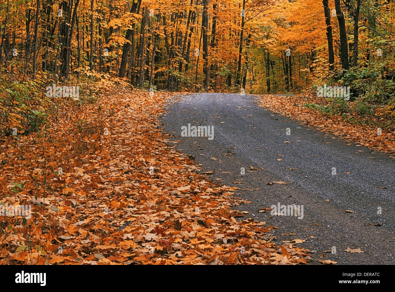 Quebec country hi-res stock photography and images - Alamy