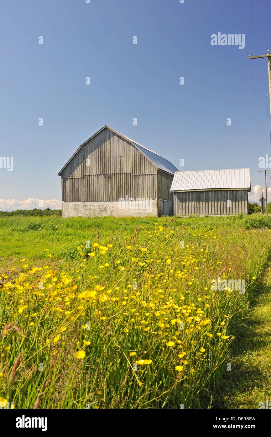 Westham island vancouver hi-res stock photography and images - Alamy