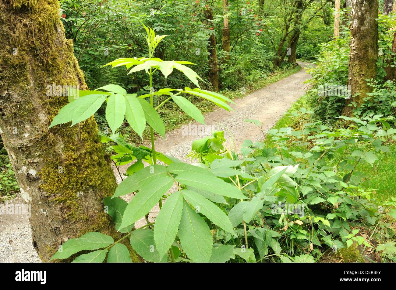 Minnekhada marsh hi-res stock photography and images - Alamy