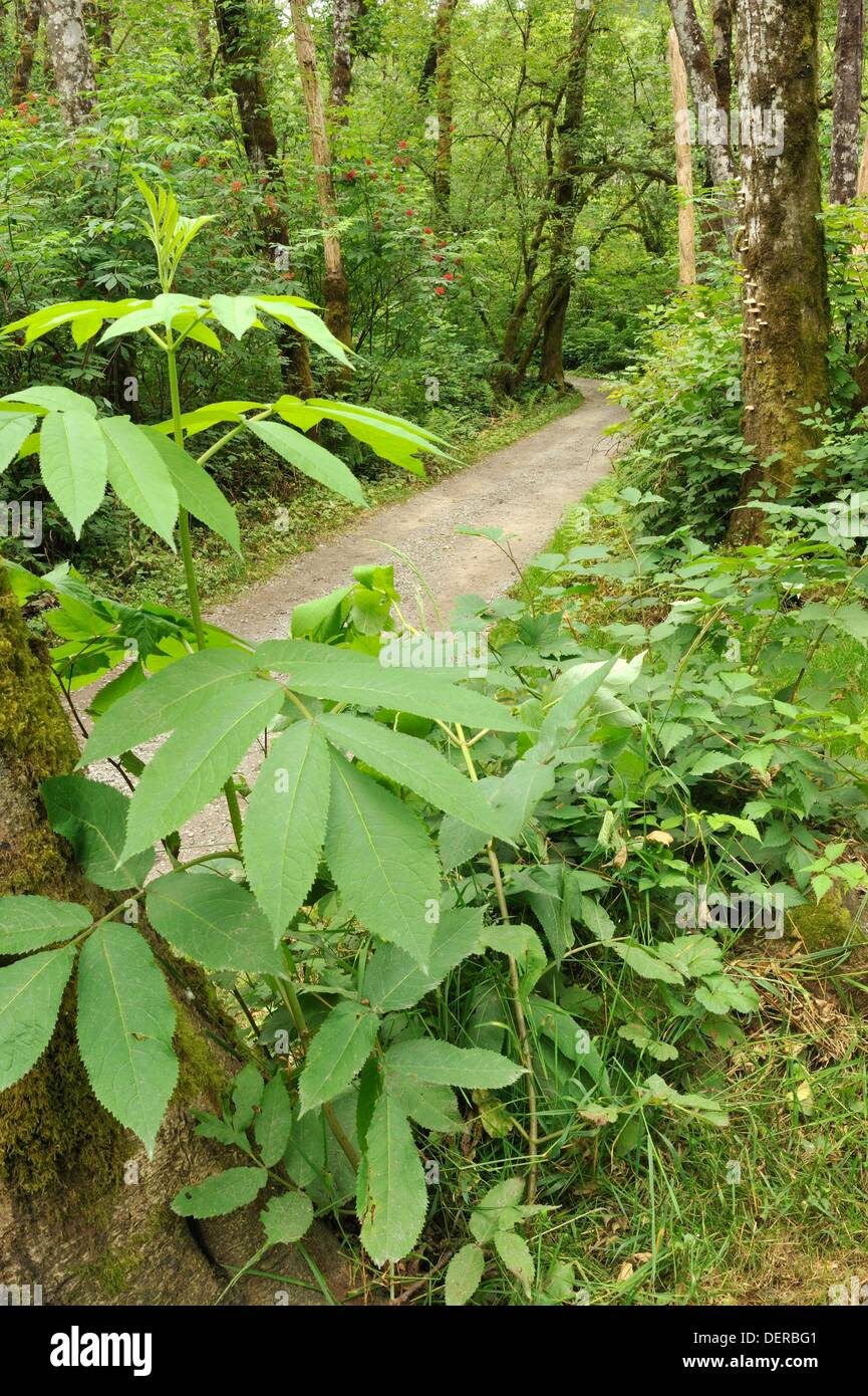 Minnekhada marsh hi-res stock photography and images - Alamy