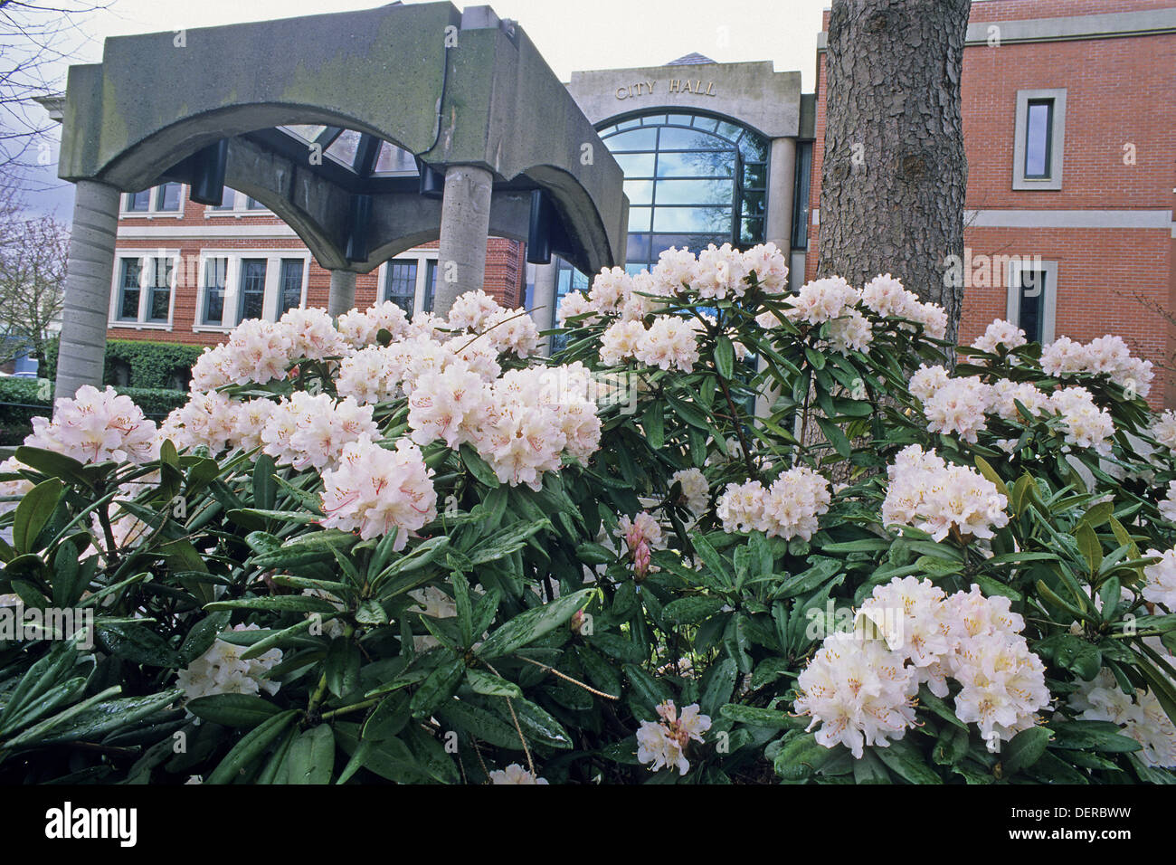 Coquitlam city hall hi-res stock photography and images - Alamy