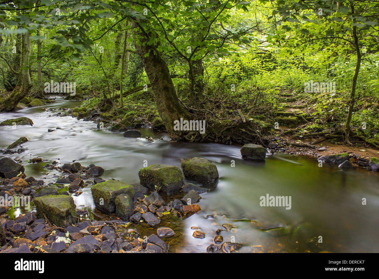 Rivelin valley hi-res stock photography and images - Alamy