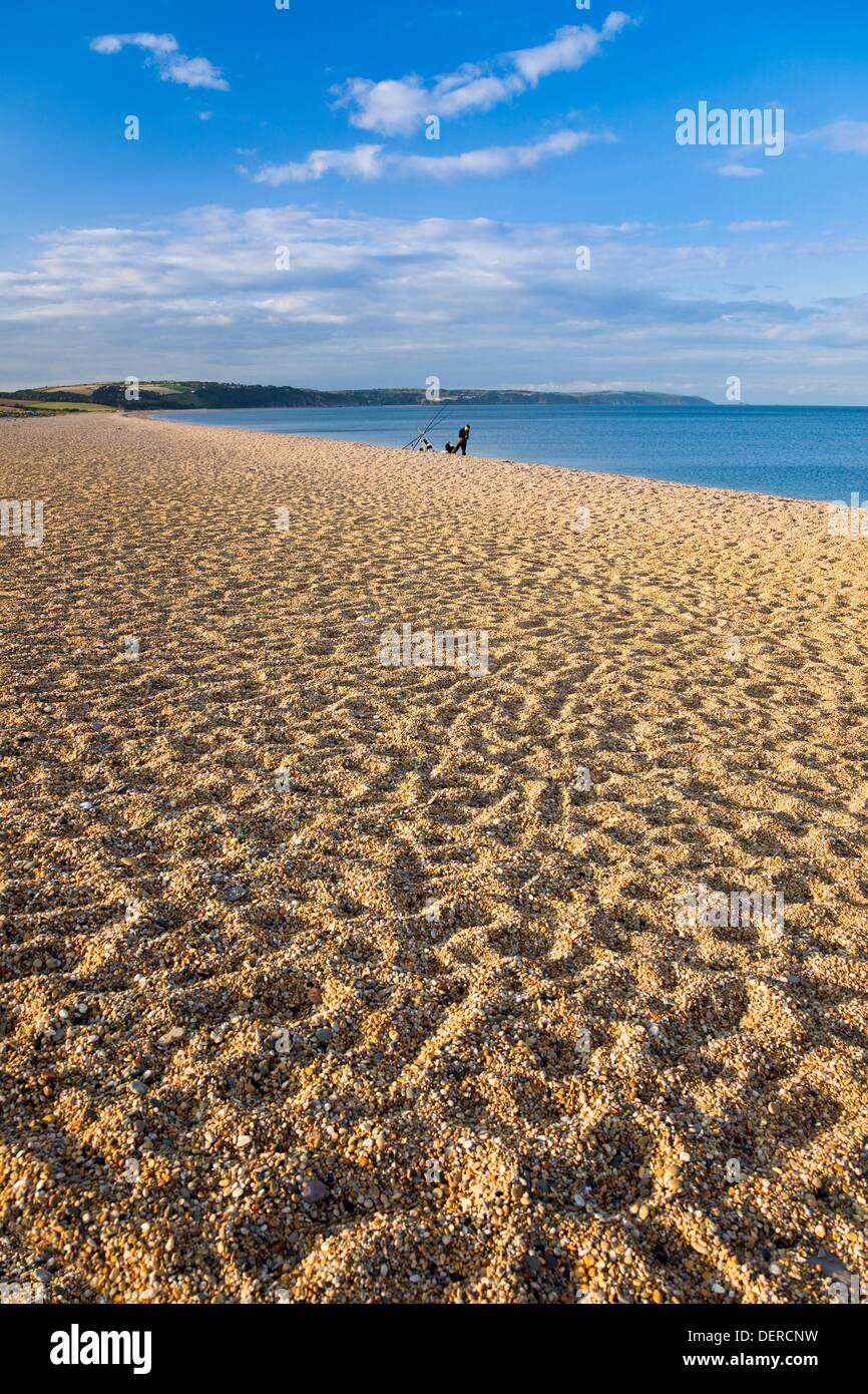 Strete Start Bay Devon High Resolution Stock Photography and Images - Alamy