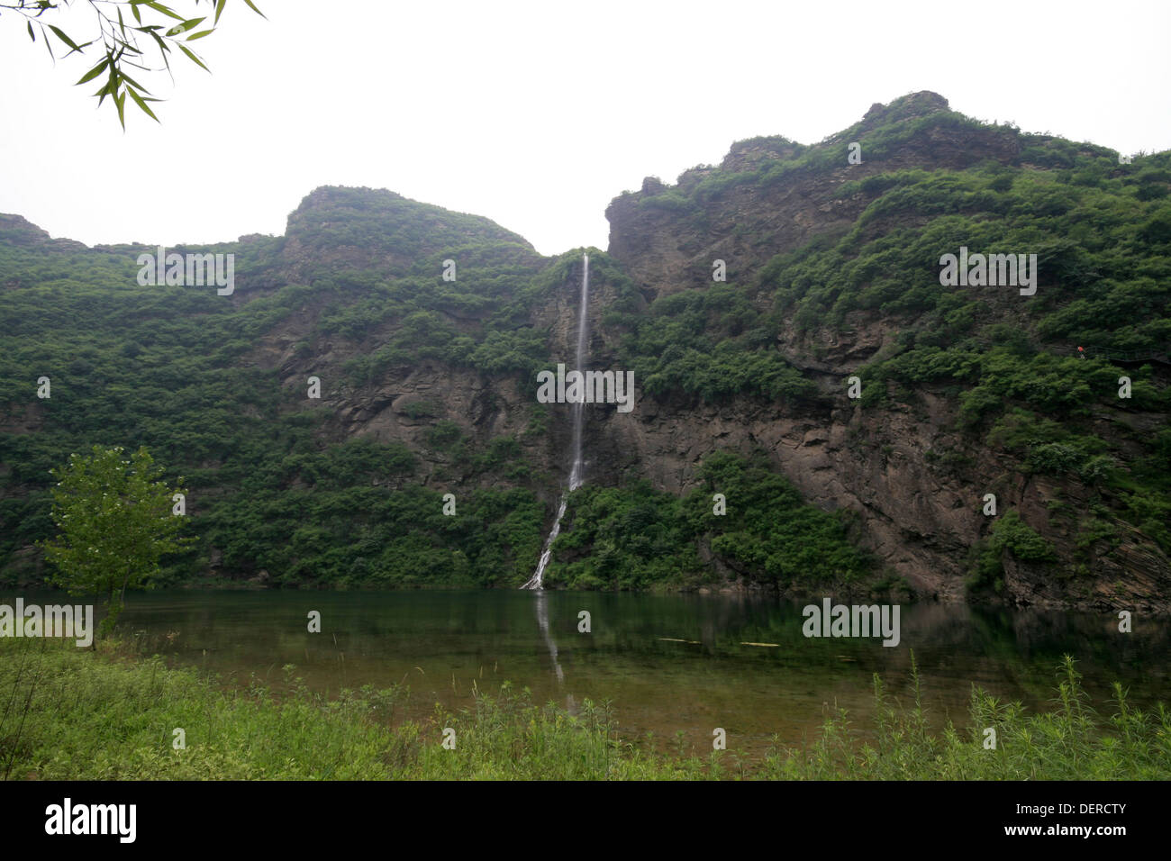 Tsing lung hi-res stock photography and images - Alamy