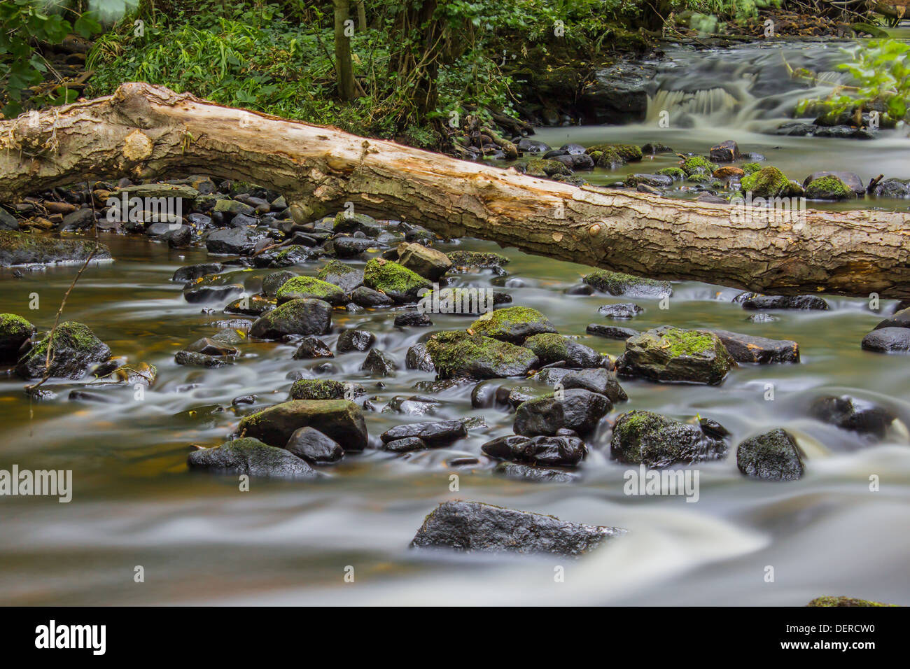 Long exposure shot of the River Rivelin as it tumbles through the ...
