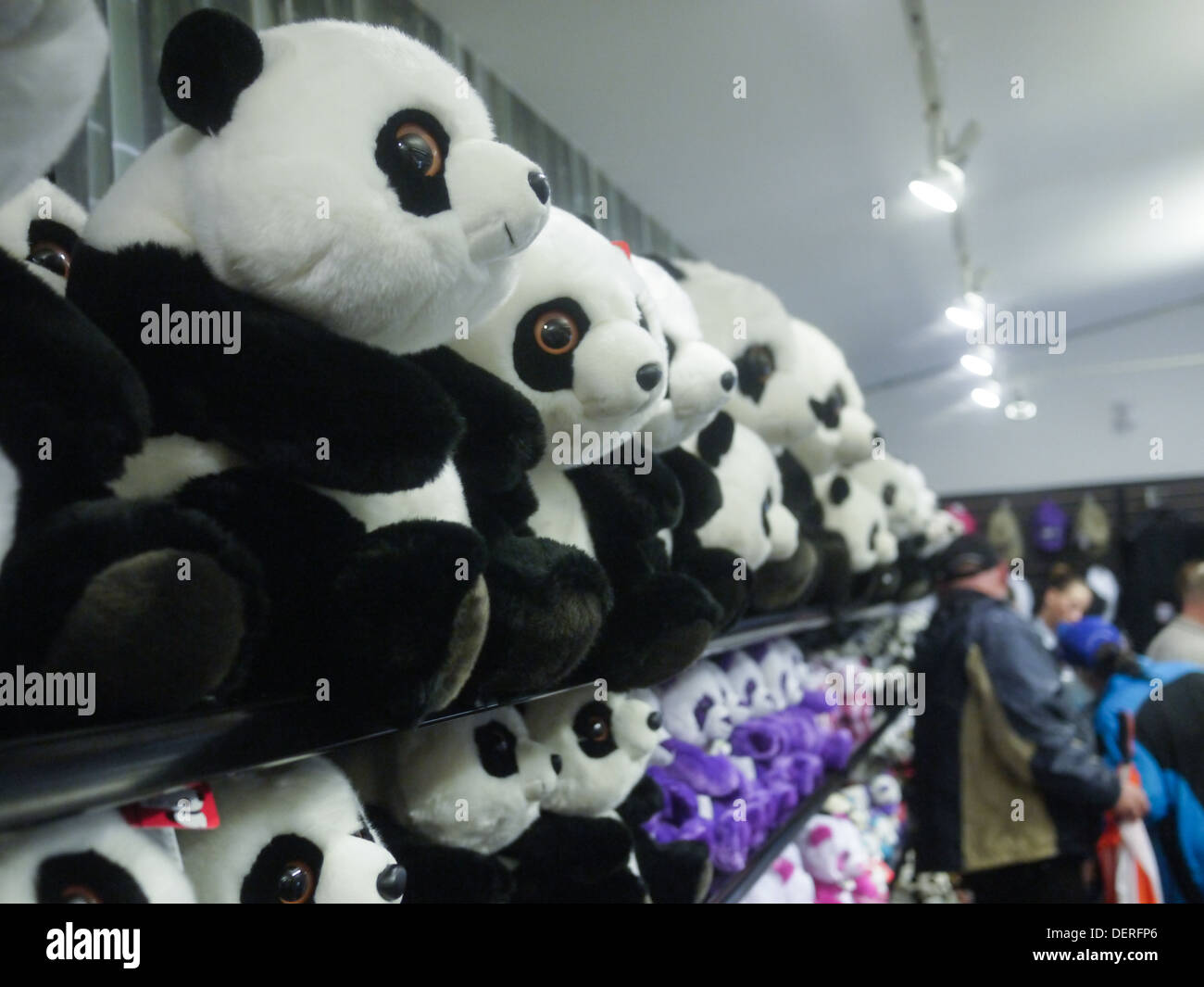 stuffed animal panda shelves Stock Photo - Alamy