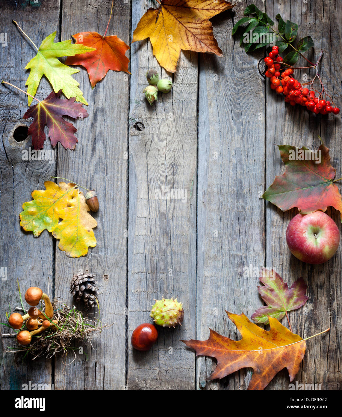 Autumn abstract leaves and signs on vintage boards background Stock ...