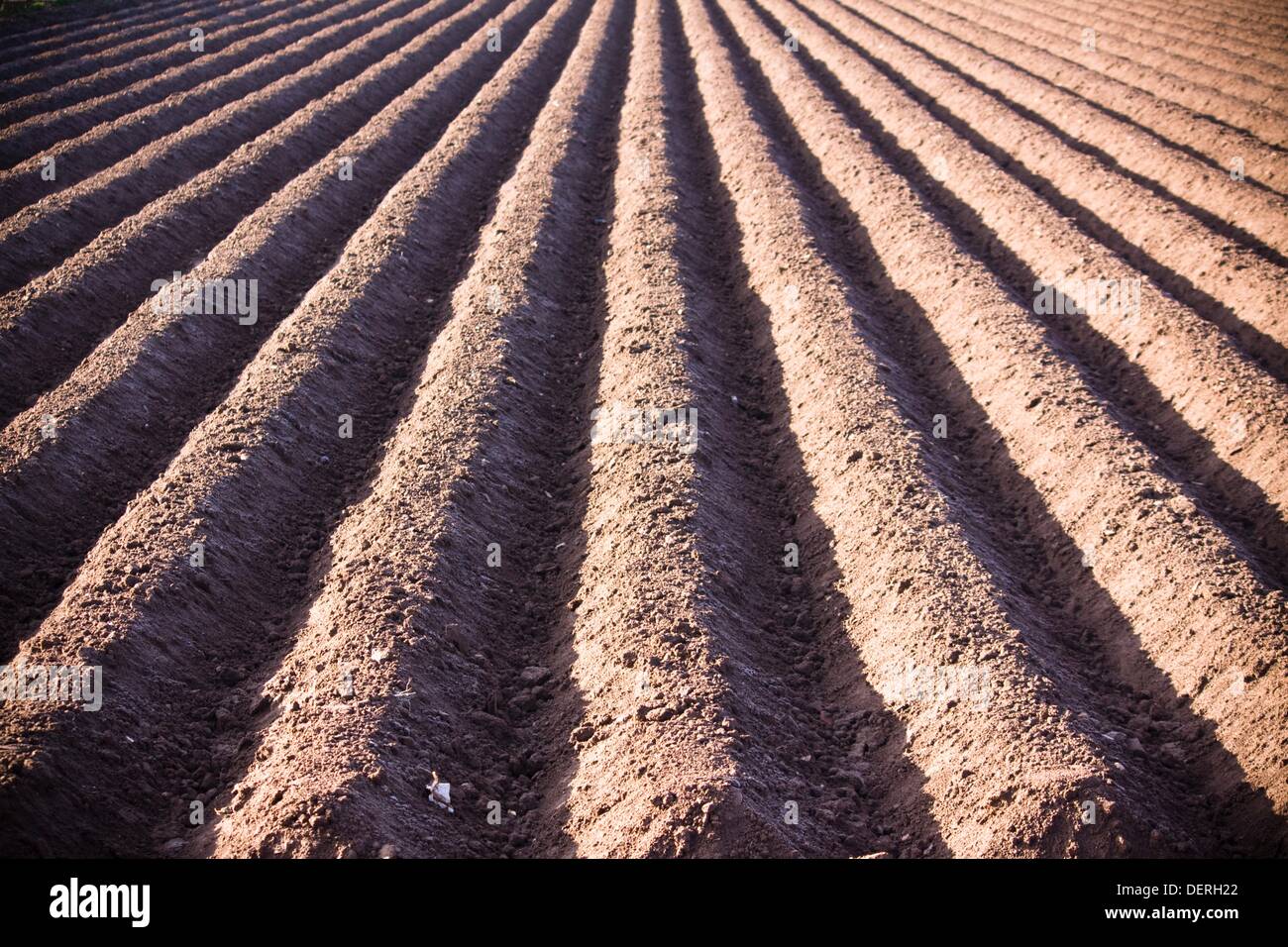 Ridge tilling hi-res stock photography and images - Alamy