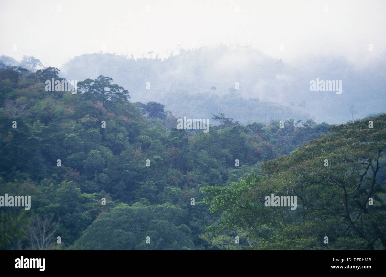 Montes Azules Chiapas High Resolution Stock Photography and Images - Alamy