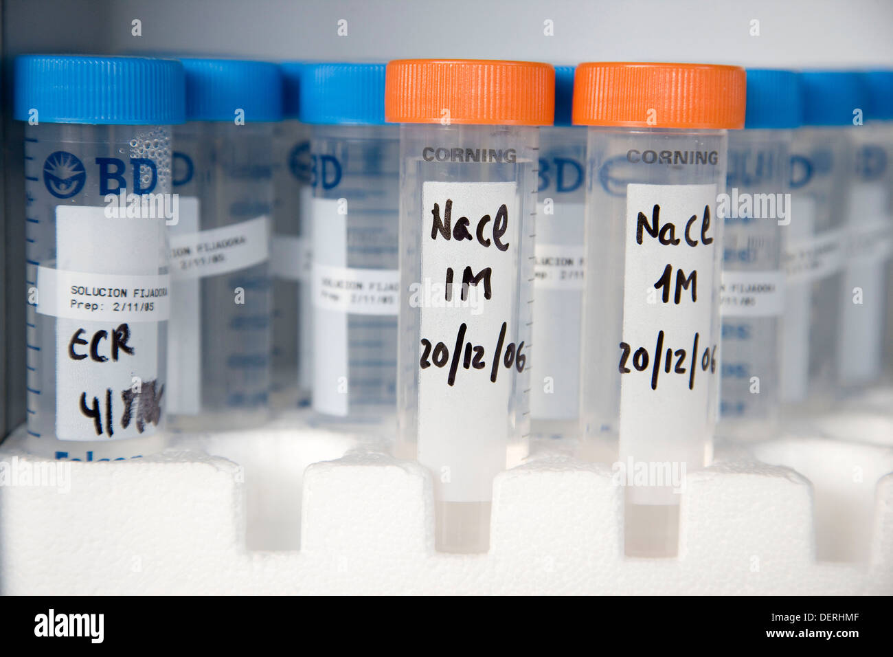 Culture lab hi-res stock photography and images - Alamy