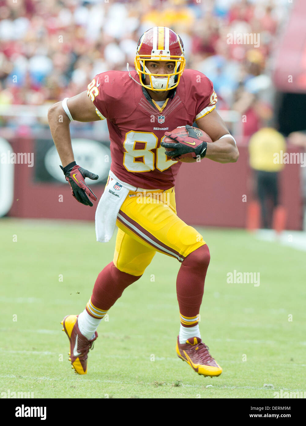 Detroit lions hi-res stock photography and images - Alamy