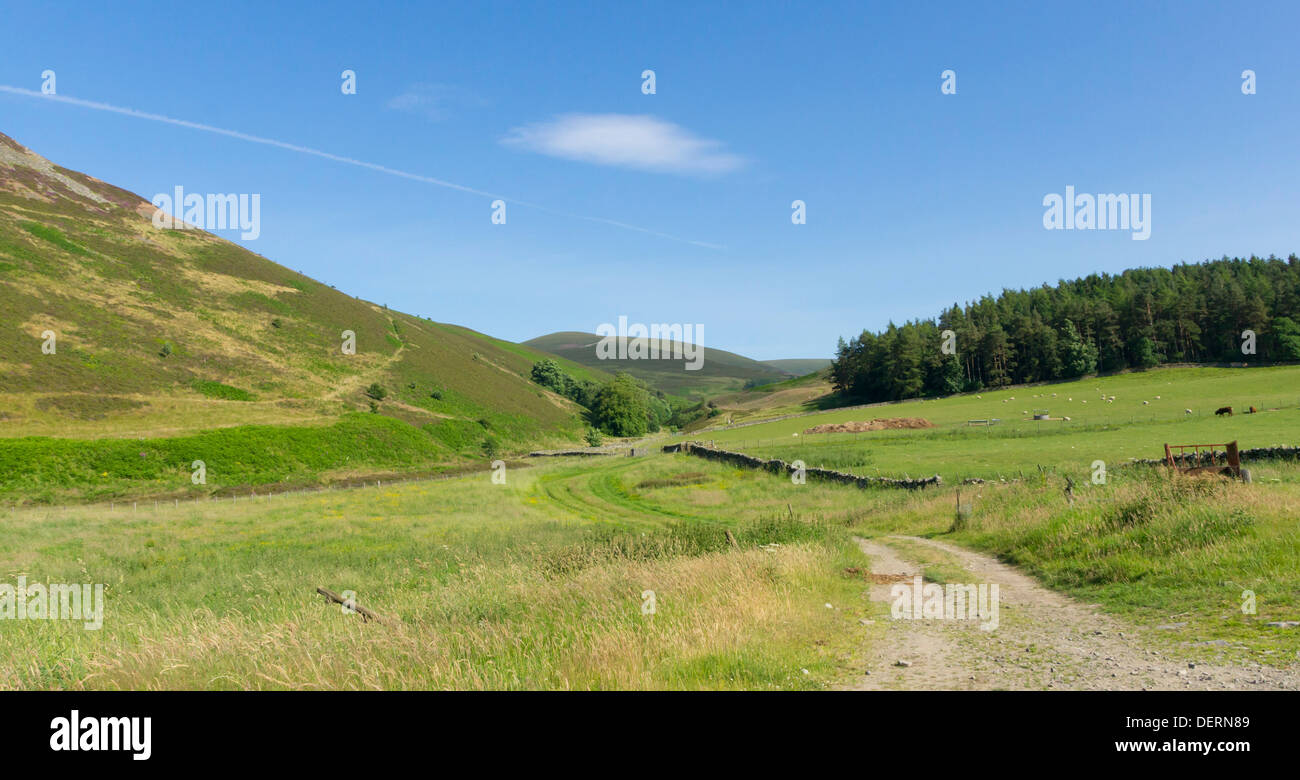 Agricultural landscape at Drumelzier, Scottish Borders, upper Tweed ...