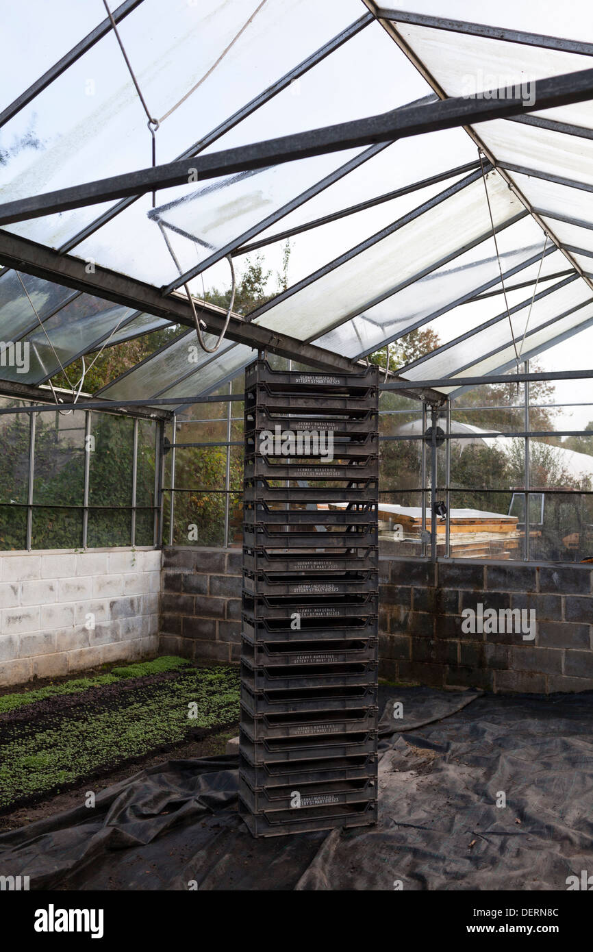 crates stacked in the greenhouse of an organic farm Stock Photo - Alamy