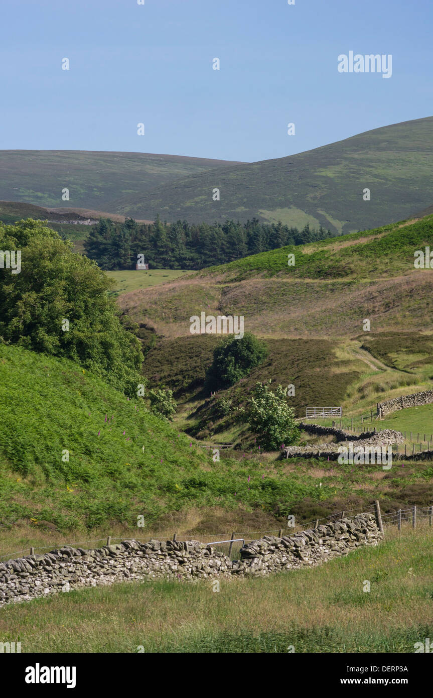 Agricultural landscape at Drumelzier, Scottish Borders, upper Tweed ...