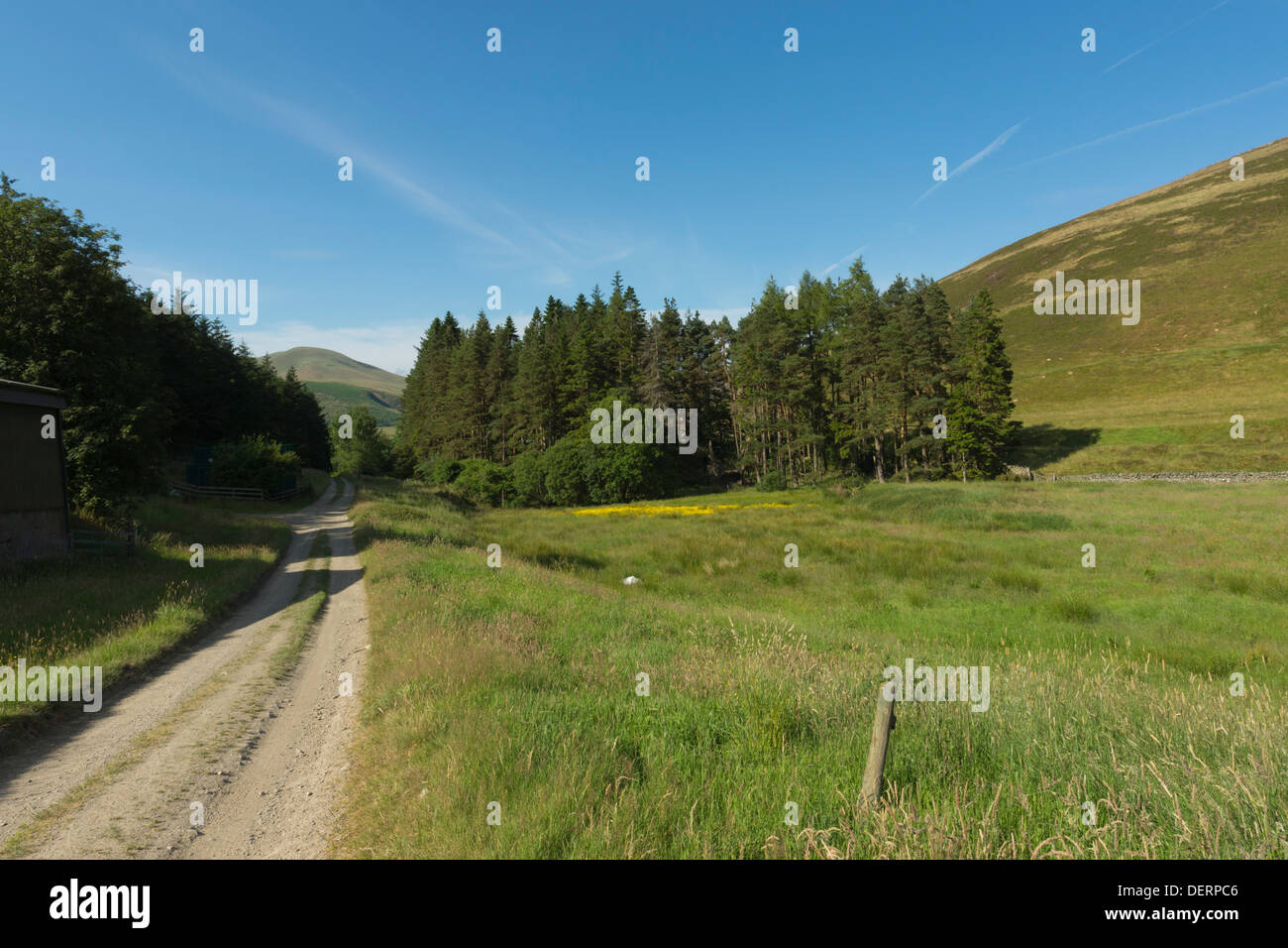 Agricultural landscape at Drumelzier, Scottish Borders, upper Tweed ...