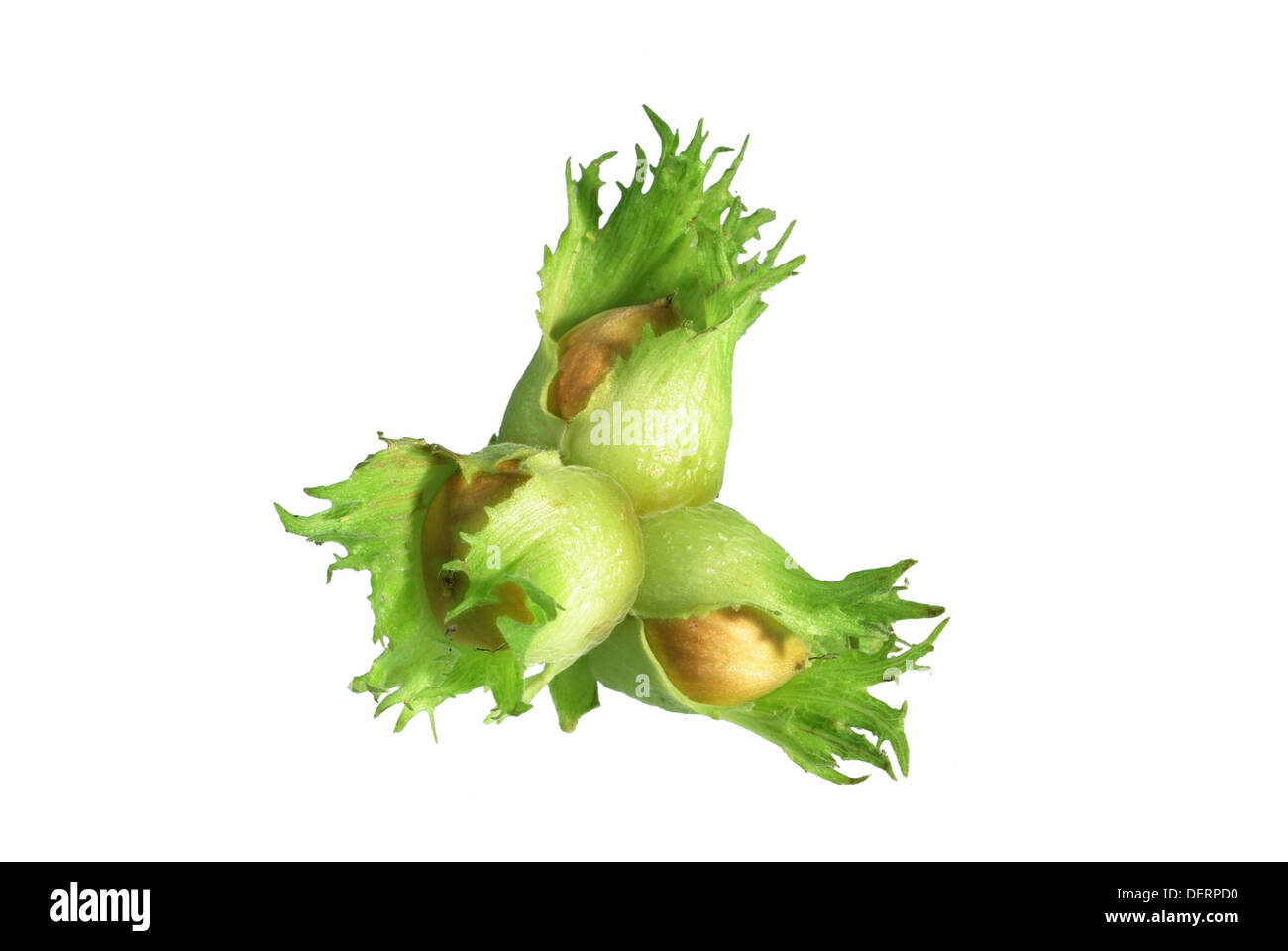 Tough nut to crack hi-res stock photography and images - Alamy
