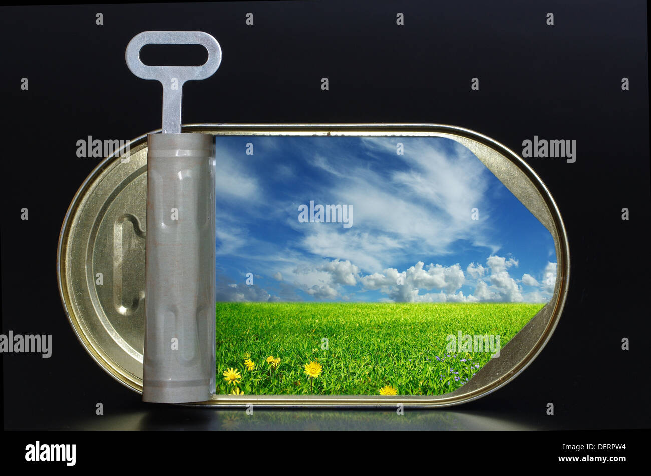 Open scenery hi-res stock photography and images - Alamy