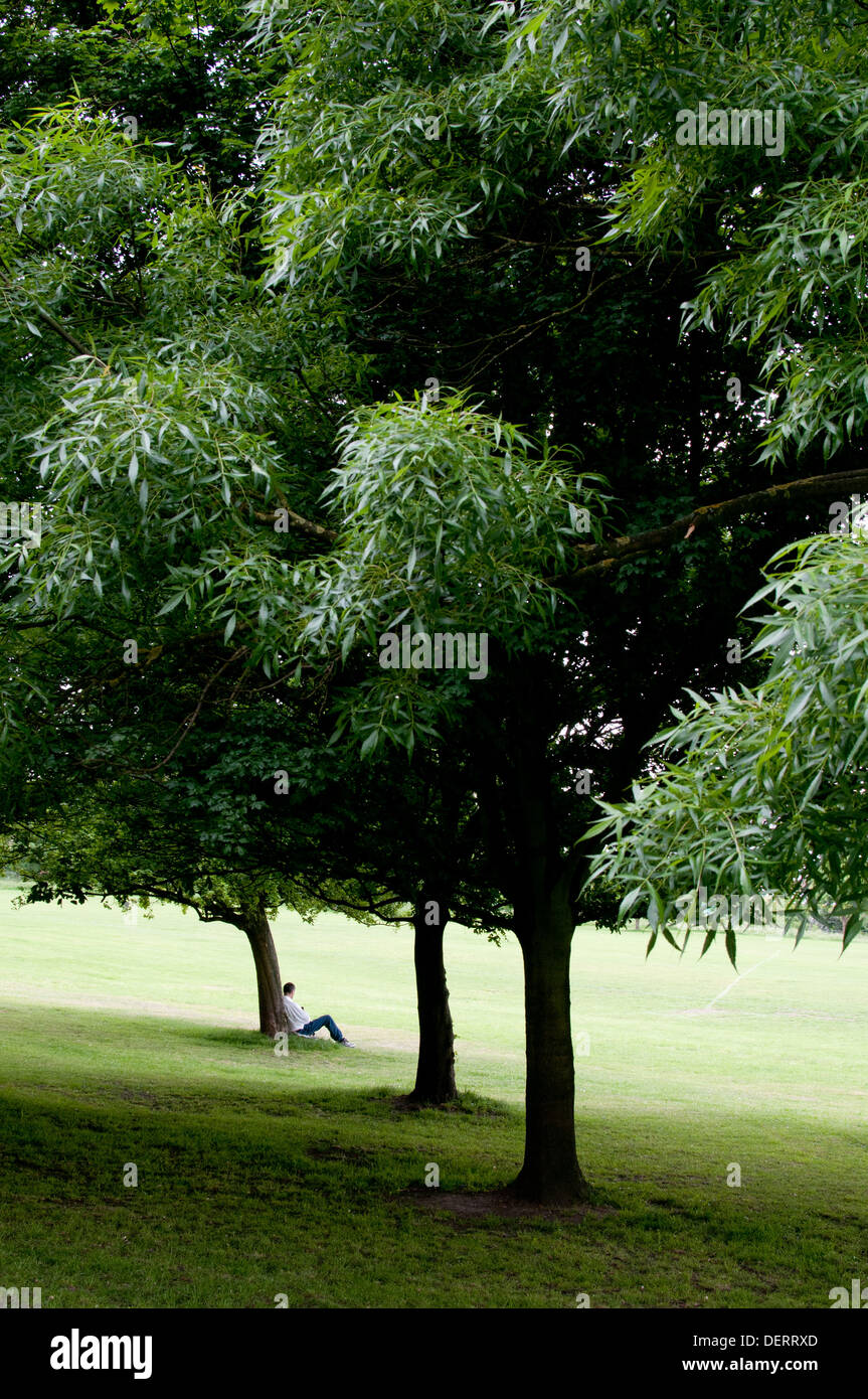 Man under trees hi-res stock photography and images - Alamy