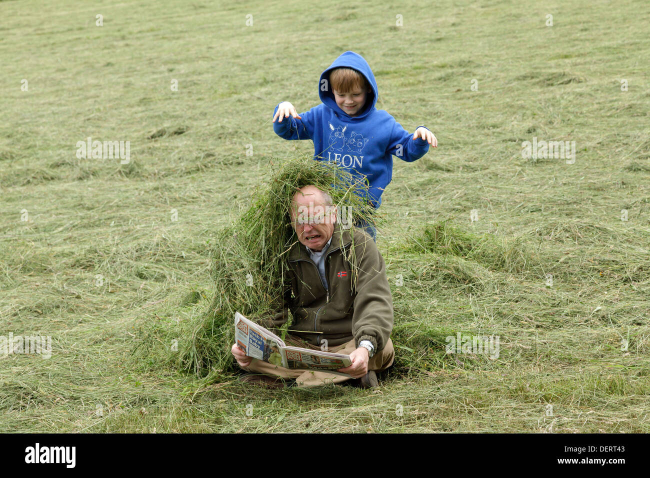 little boy throwing hay on his grandfather Stock Photo - Alamy