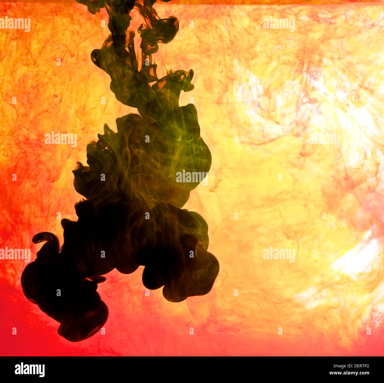 inks in water, color abstraction, color explosion Stock Photo - Alamy