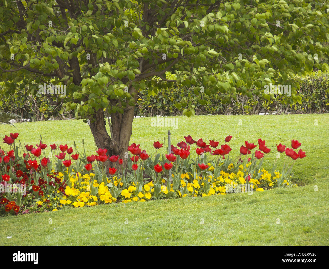 Parc phoenix hi-res stock photography and images - Alamy