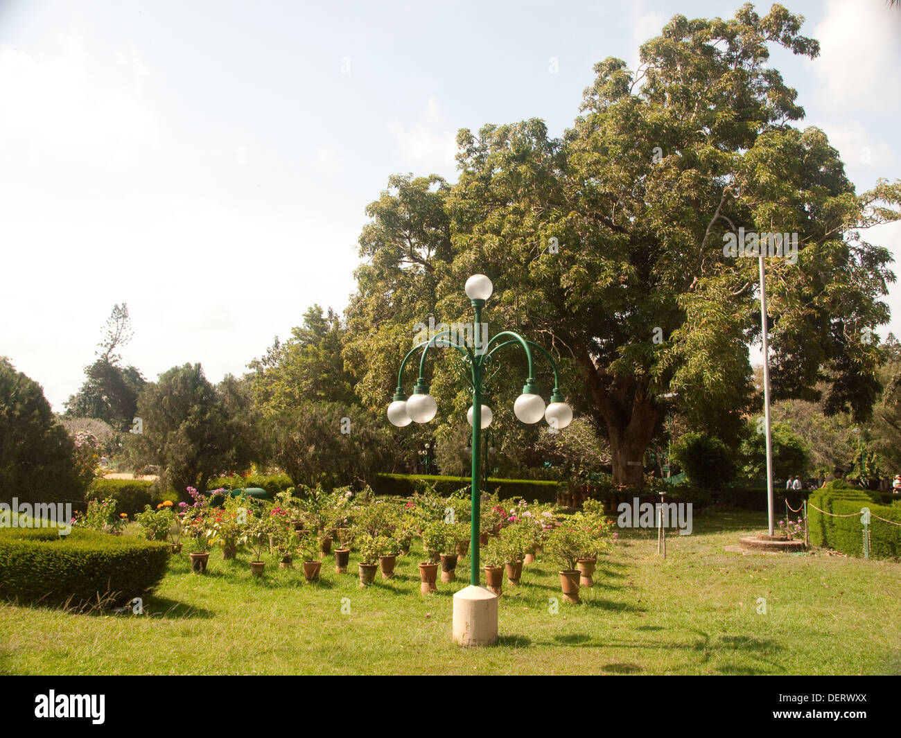 Kerala trivandrum flowers hi-res stock photography and images - Alamy