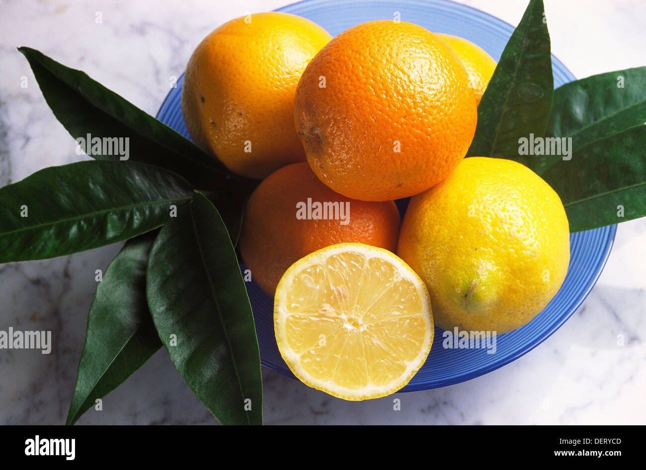 Oranges and lemons Stock Photo - Alamy