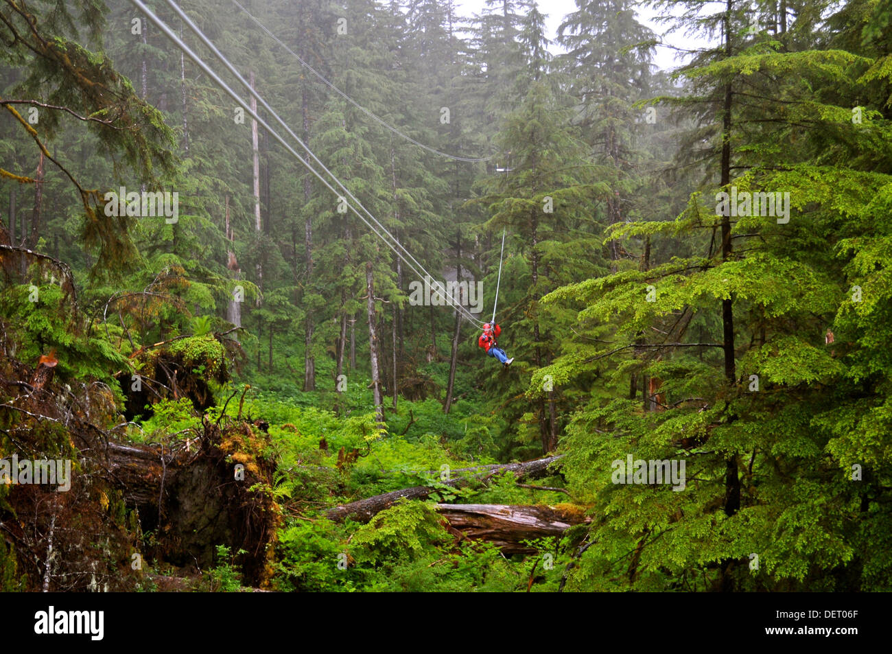 Man Ziplines through forest Stock Photo - Alamy