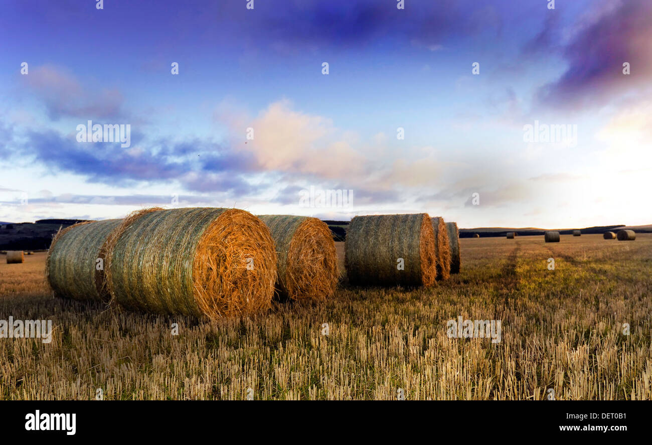 Autumn Harvest Scottish Borders Stock Photo - Alamy
