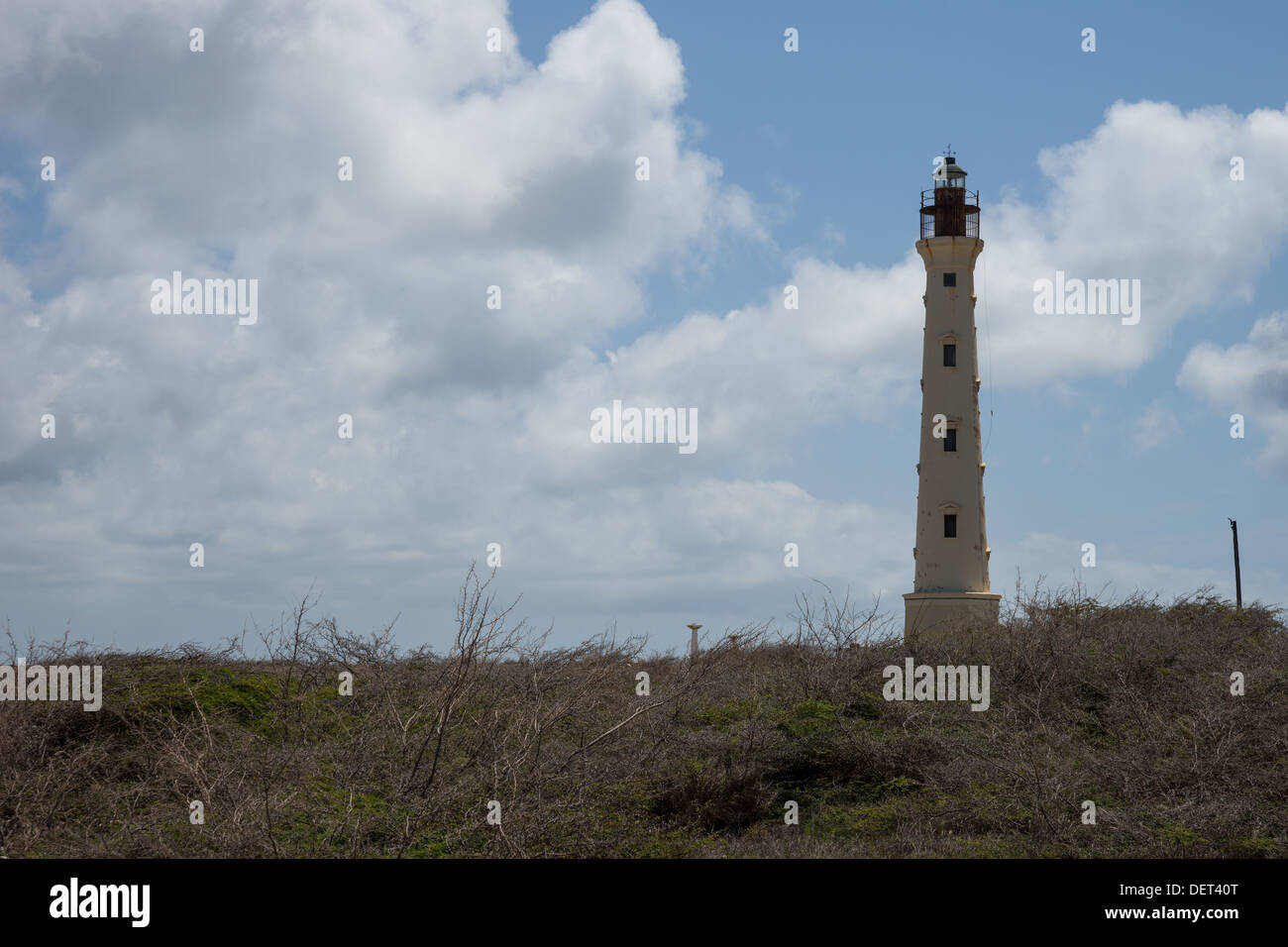 California lighthouse, Aruba Stock Photo - Alamy