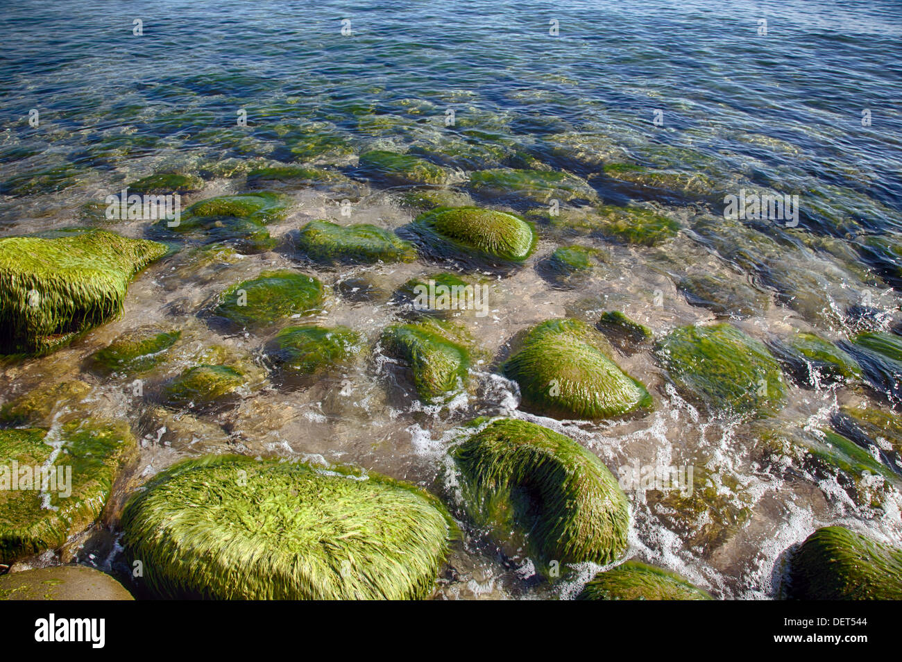 Foreground rocks and stones hi-res stock photography and images - Alamy
