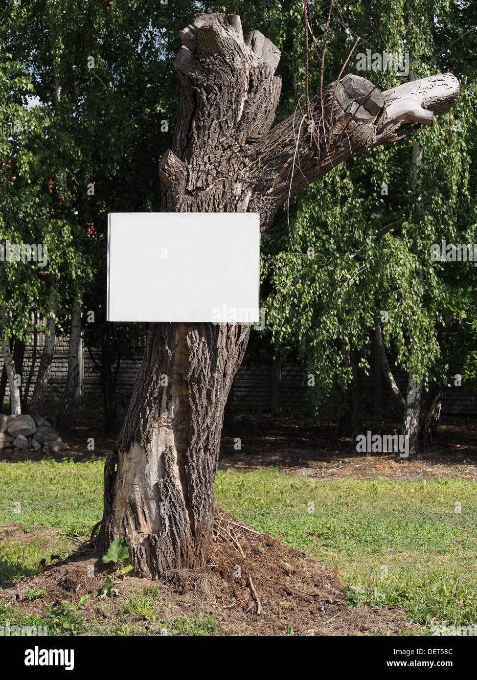 Advertisement on a tree hi-res stock photography and images - Alamy
