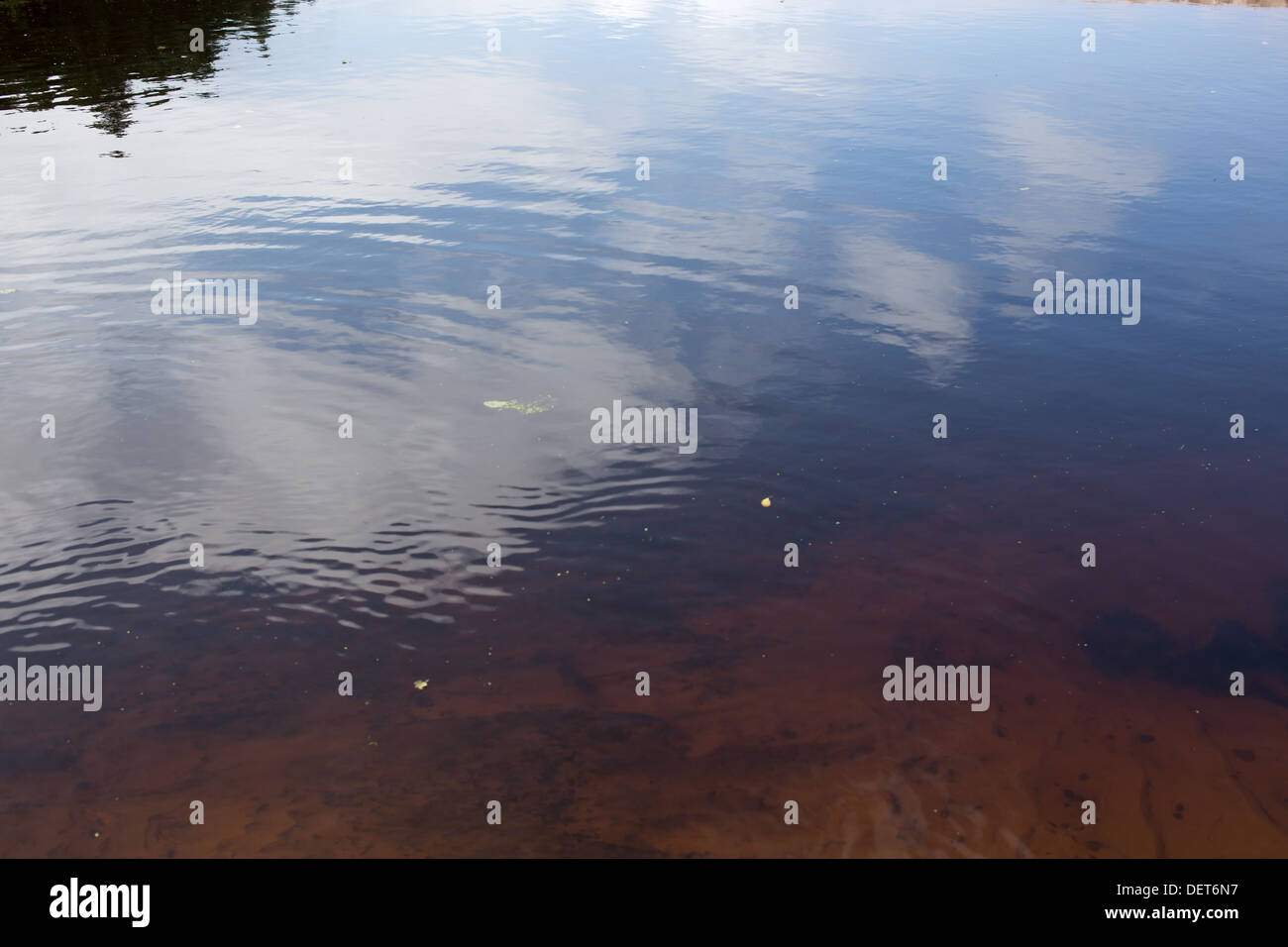 Landscapes. The last moments of summer on the beach in Debki, Poland ...