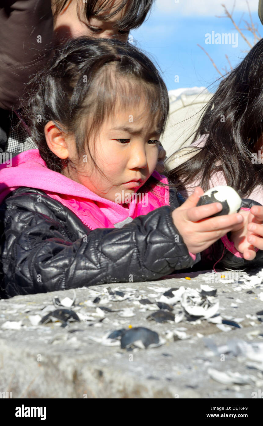 A young Japanese girl peels back the black shell of a Kuro-tamago hard ...