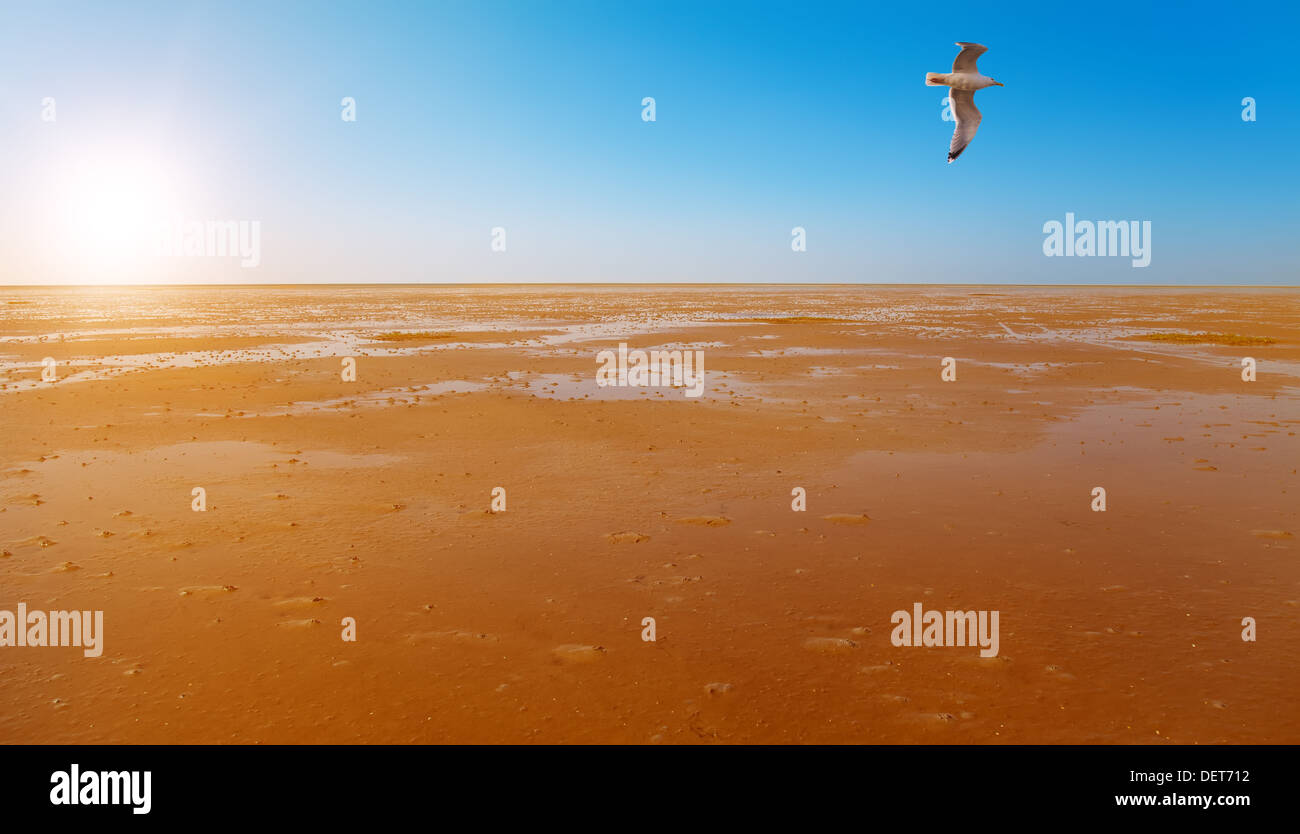 Danish wadden sea national park Stock Photo - Alamy