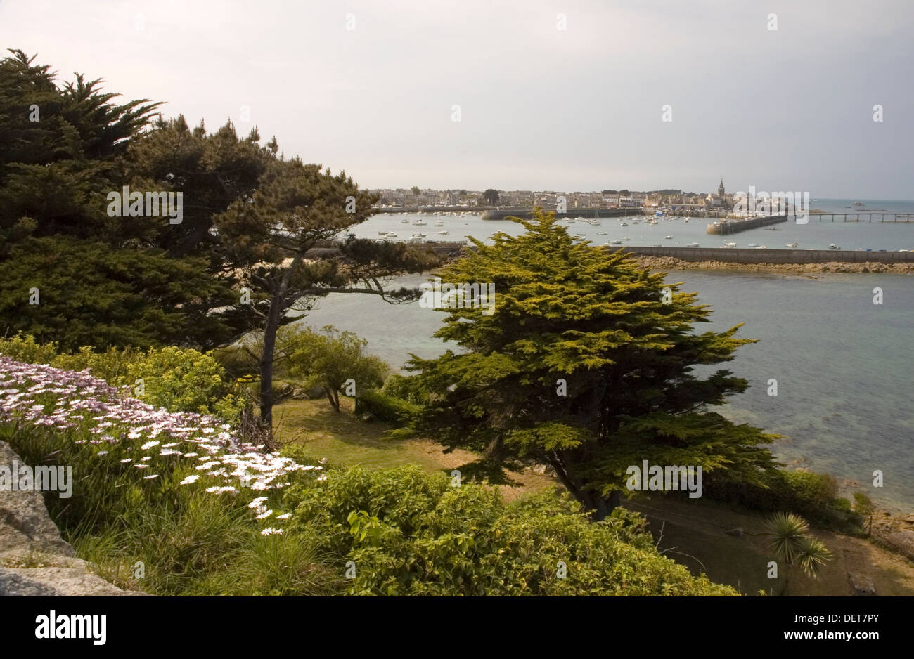 Roscoff town brittany france hi-res stock photography and images - Alamy