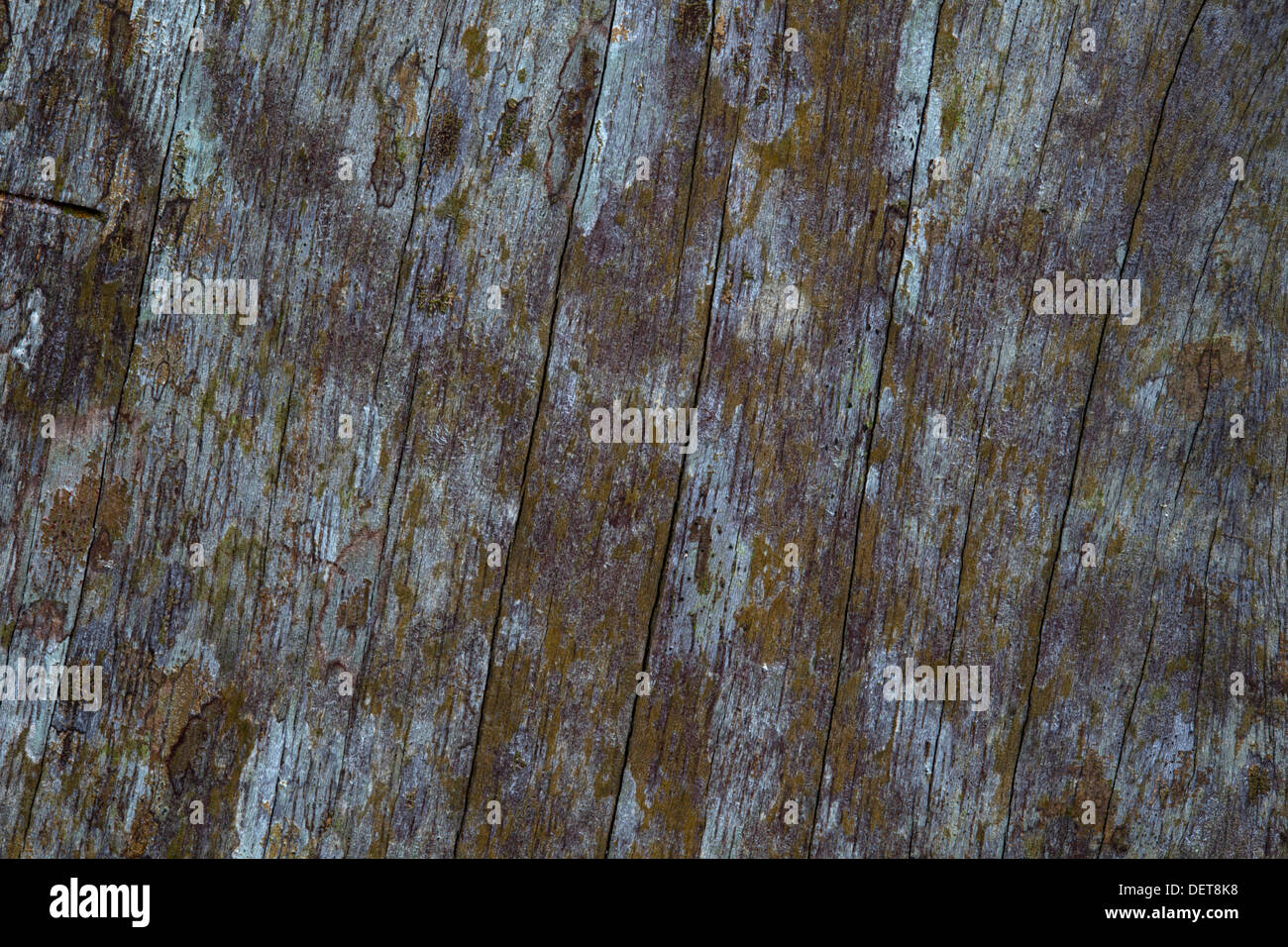 wood texture color shape volume line contrast background useful ...