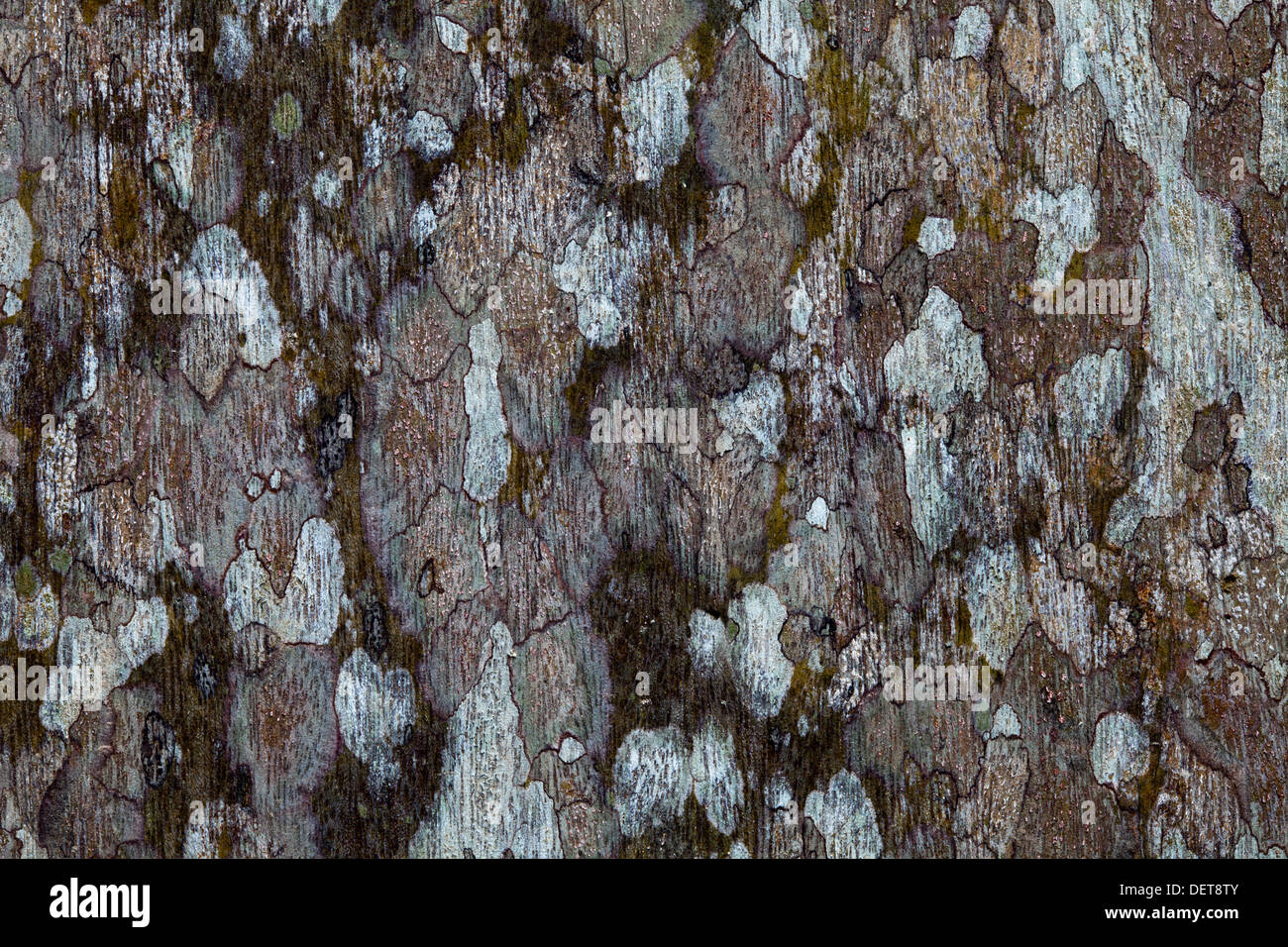 wood texture color shape volume line contrast background useful ...