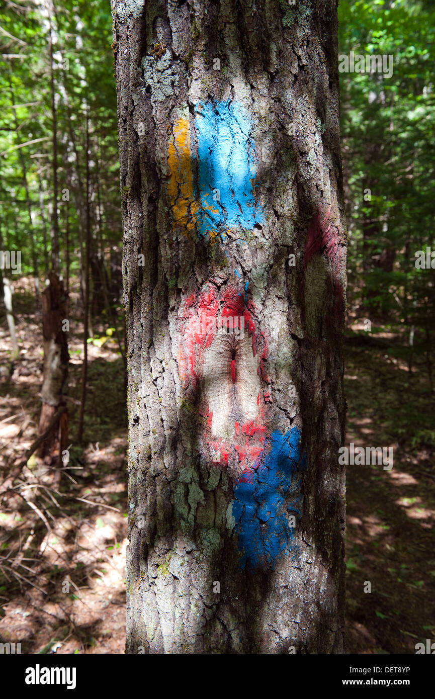 Blazes paths pathways pathway hi-res stock photography and images - Alamy