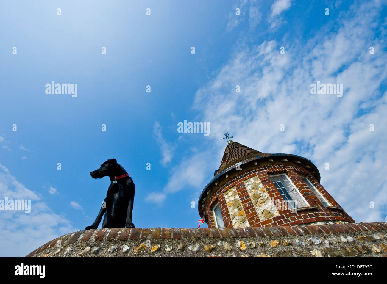 A dog keeps look out next to a turret Stock Photo - Alamy