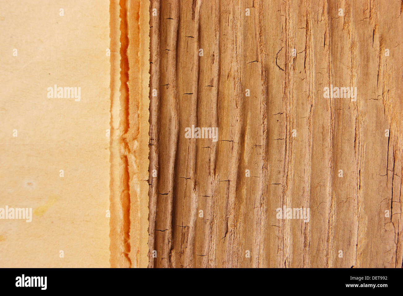 Newspaper edge hi-res stock photography and images - Alamy