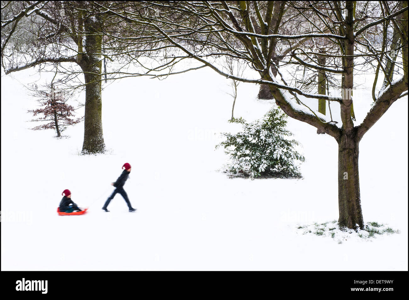 Christmas elves with red hats - one boy pulls another on his orange ...