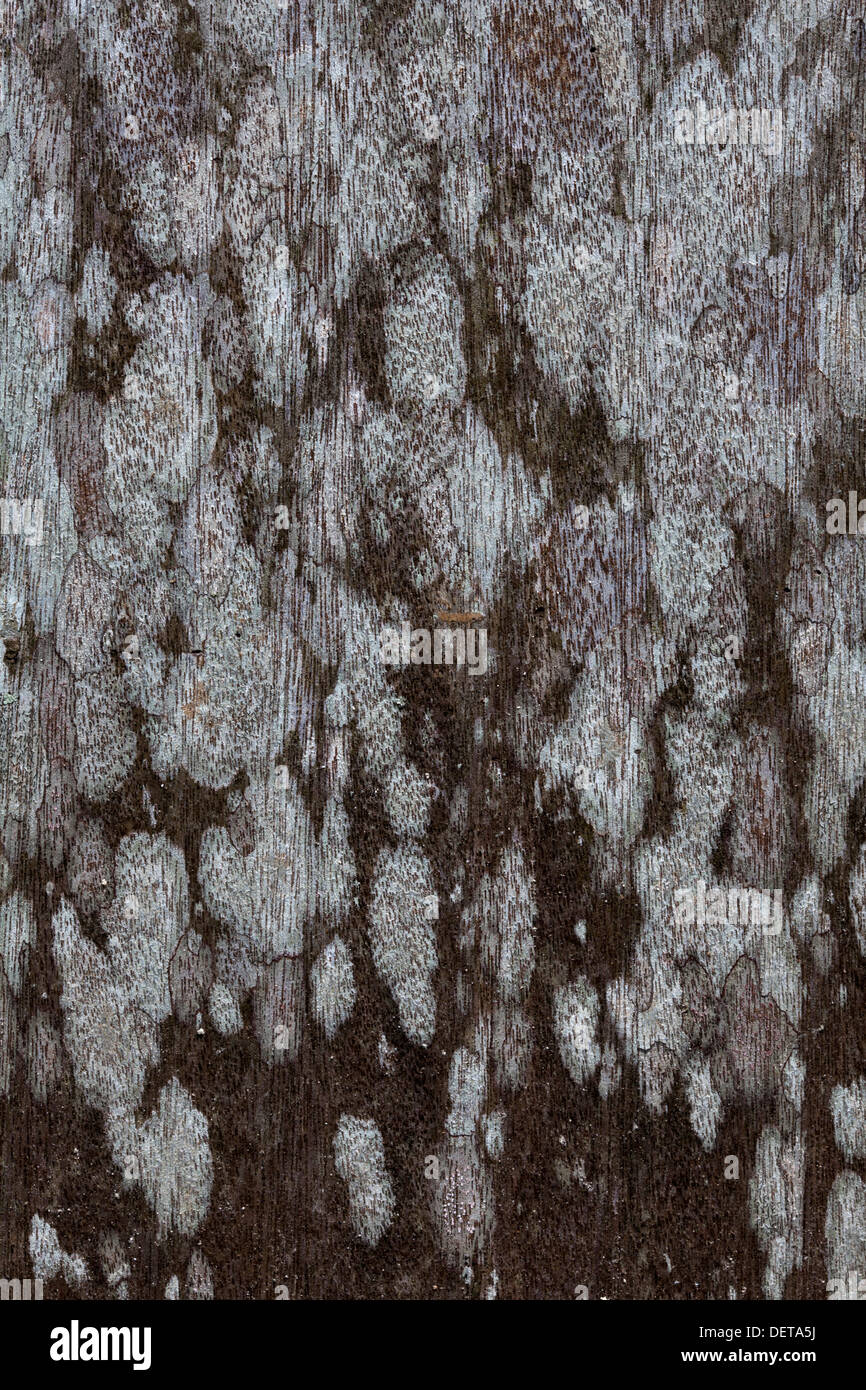 wood texture color shape volume line contrast background useful ...