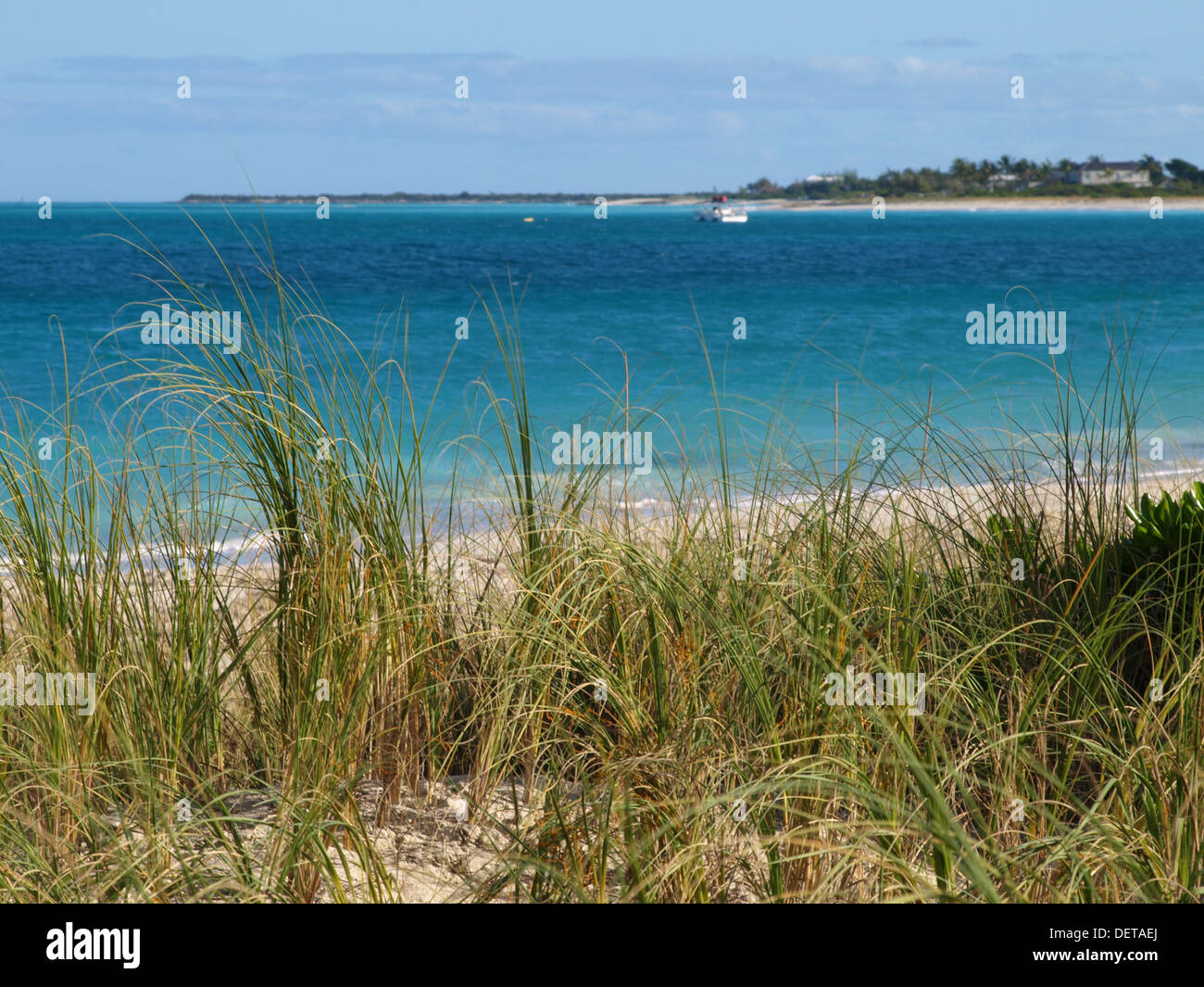 A beach with turquoise-blue water and grass in the foreground on ...