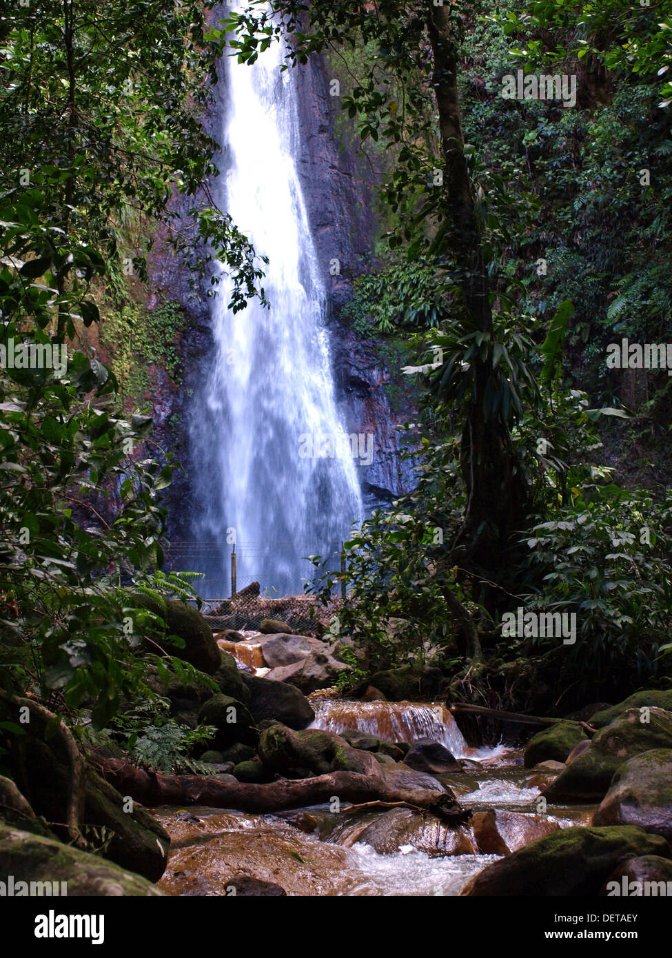 Milton (Syndicate) Falls in the Commonwealth of Dominica, Caribbean ...